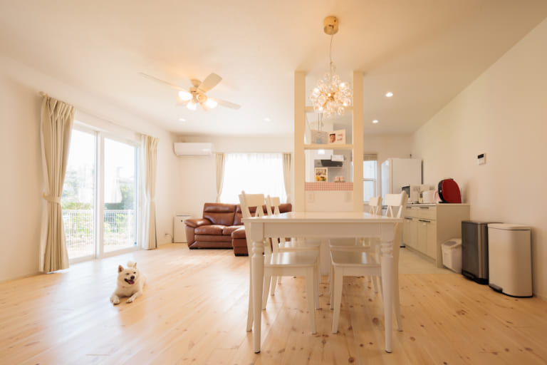 【25坪•2LDK】約1600万円で建てた平屋は 子どもと愛犬がのびのび暮らせて、老後も安心な間取り（埼玉県） | 暮らしとおしゃれの編集室